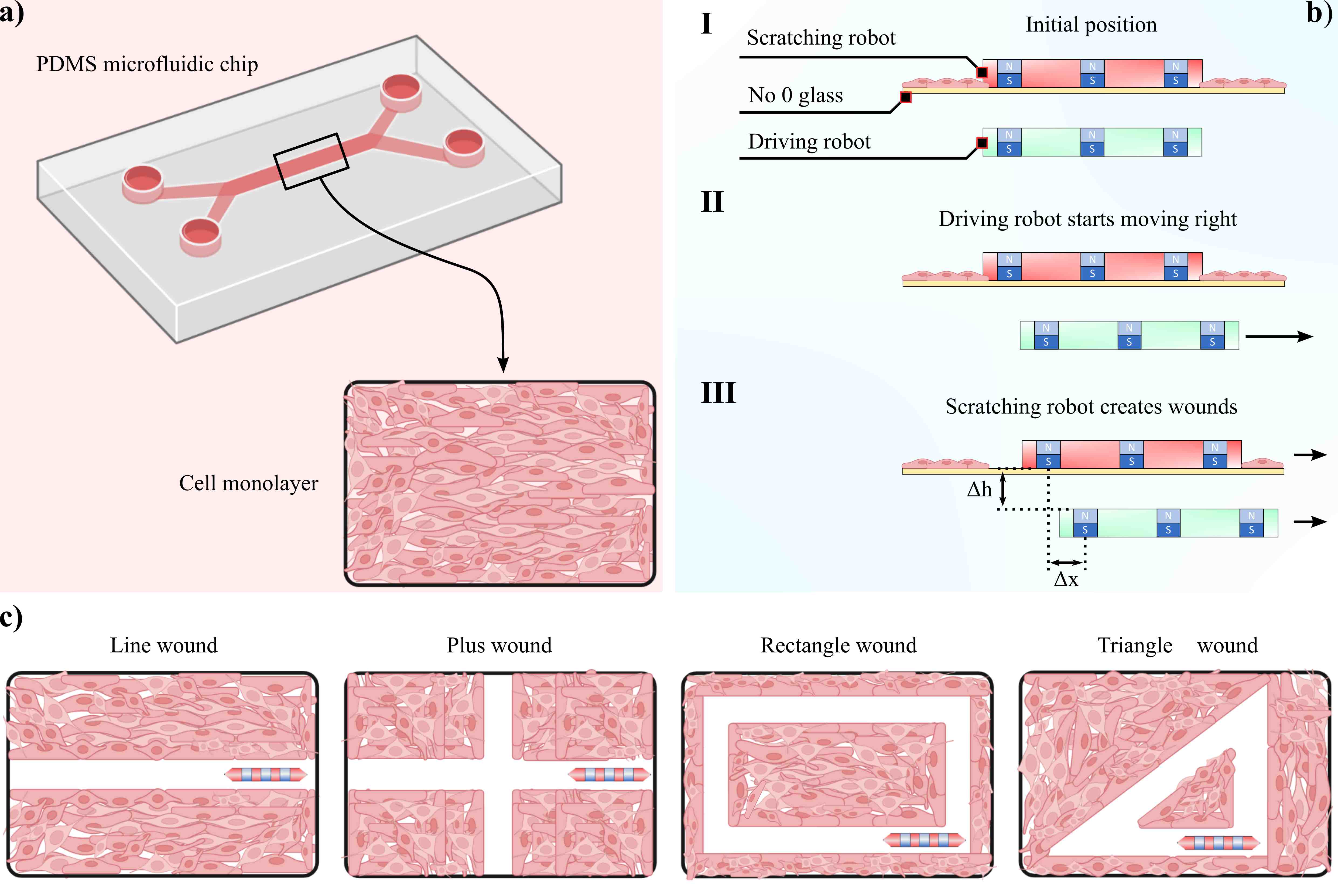 Microfluidic wound scratching platform based on an untethered ...
